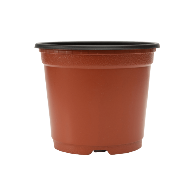 Agri World - 3" Plastic Plant Pot - Brown - FT Farfan Shop